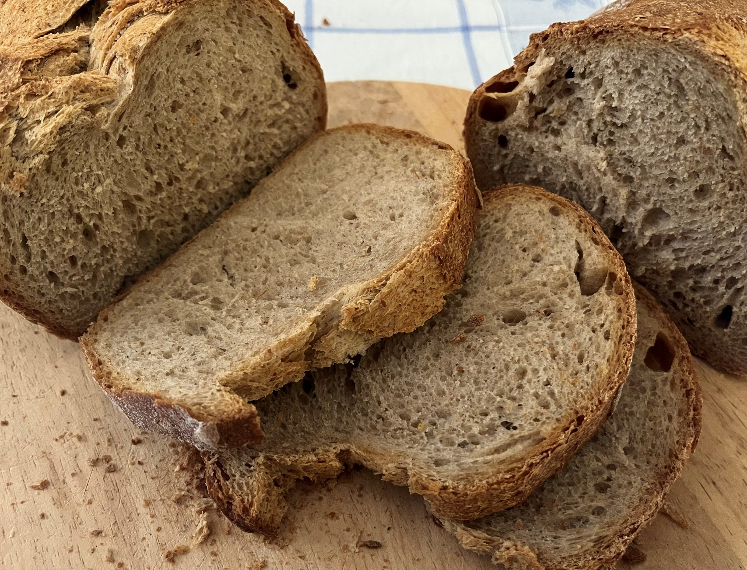 La segale in Calabria. Una risorsa da rilanciare e valorizzare - Paese24.it